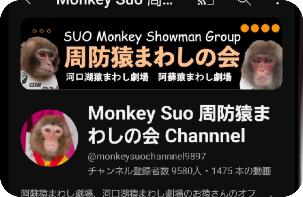 入場料金・お得なクーポン｜阿蘇猿まわし劇場