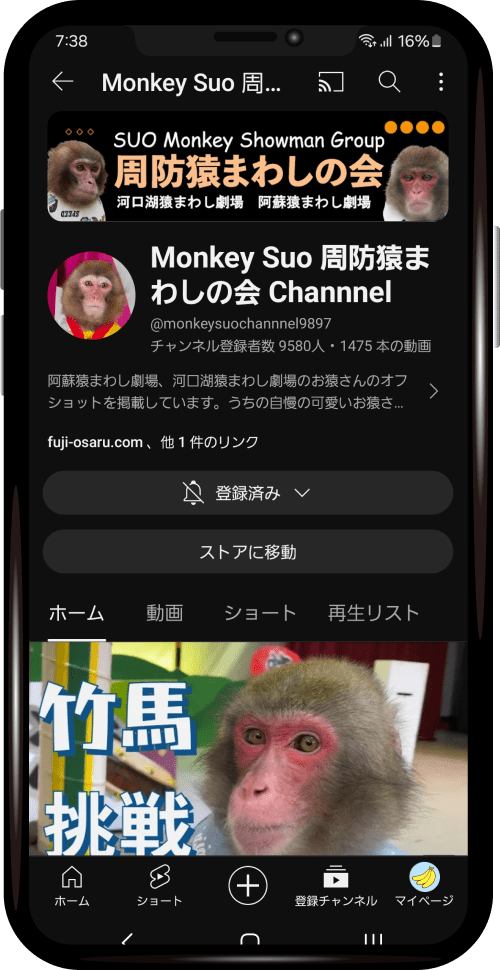 入場料金・お得なクーポン｜阿蘇猿まわし劇場