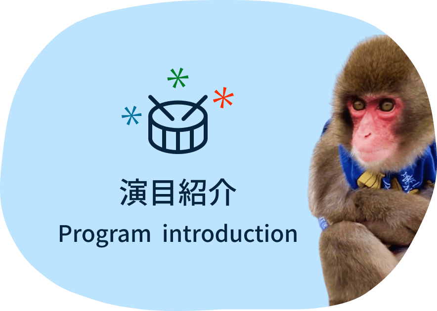 トップ | 阿蘇猿まわし劇場